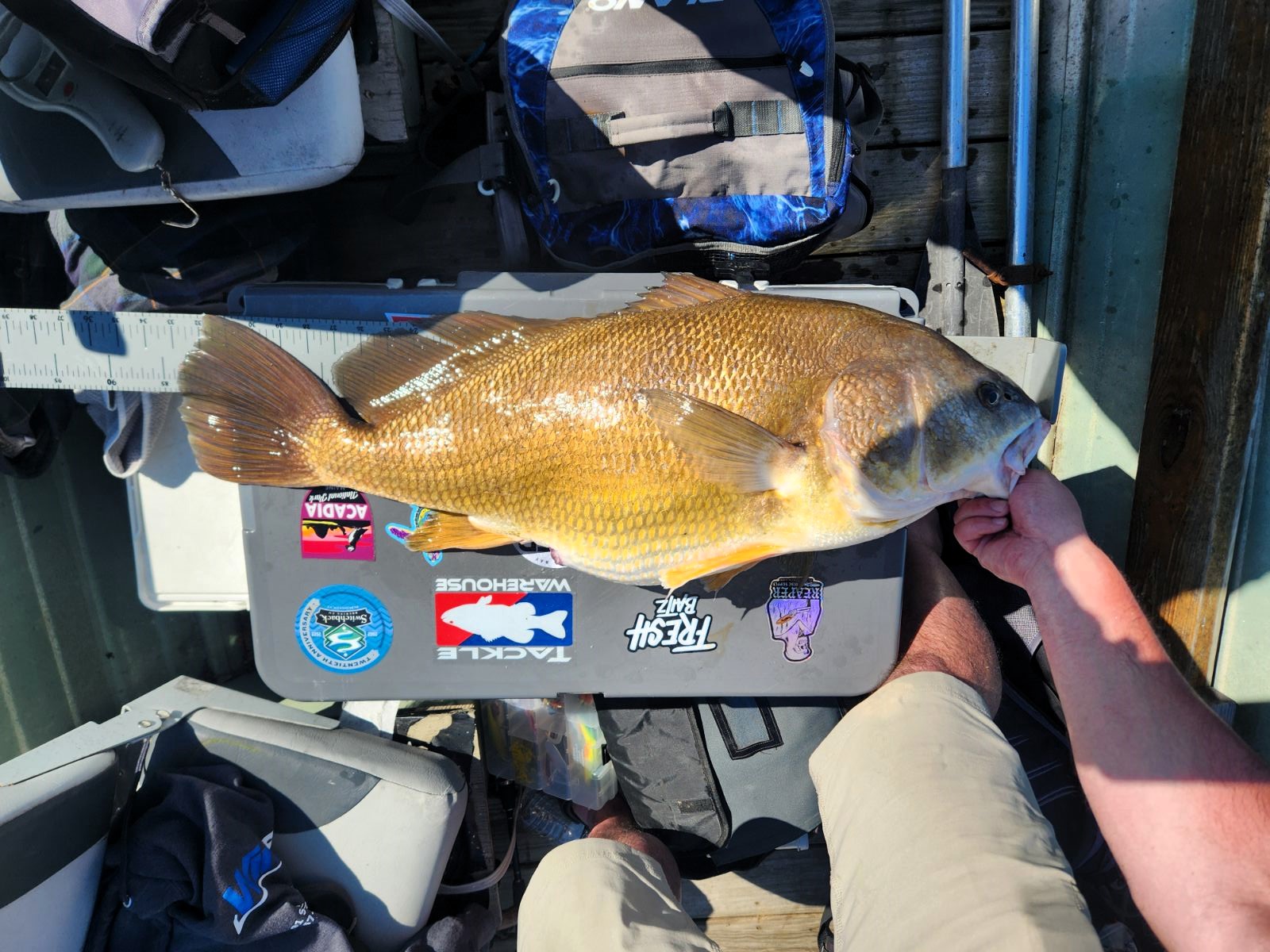 Master Angler Search | VT FWD